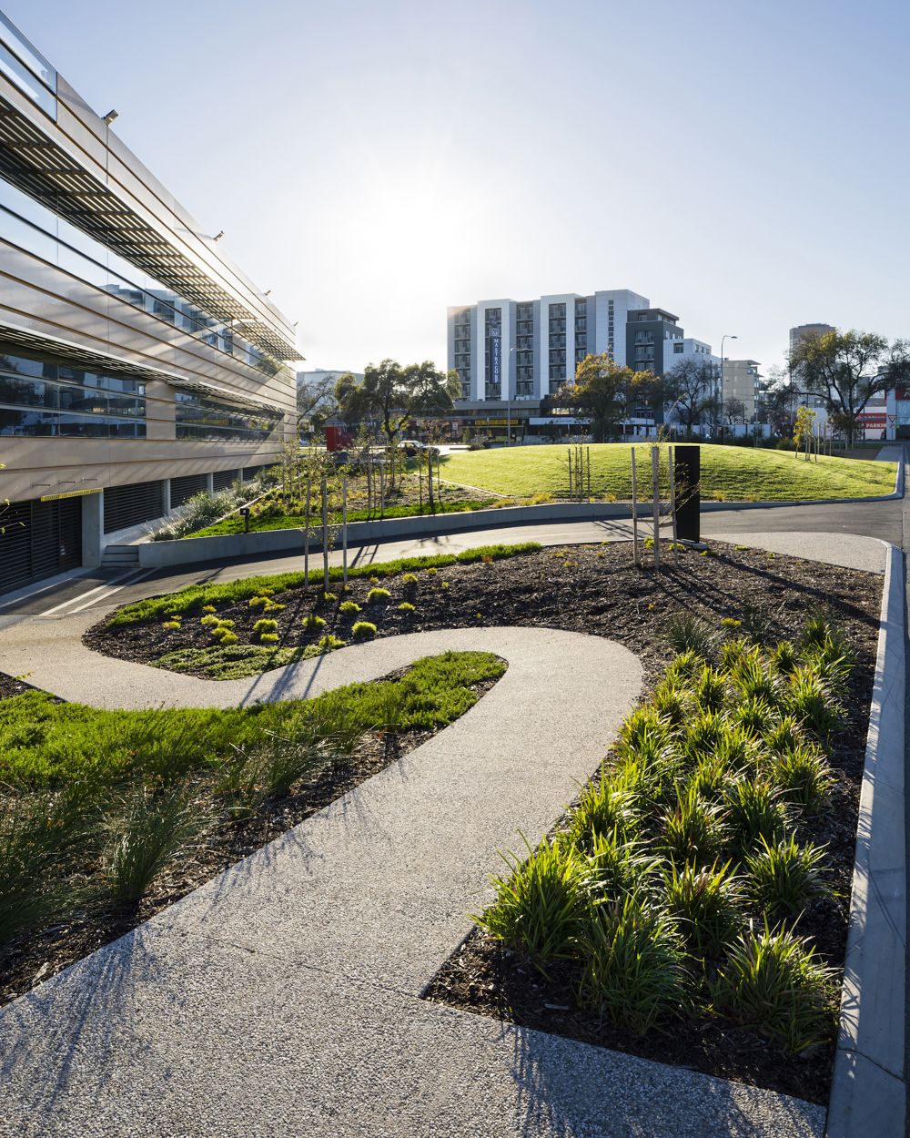 Adelaide High School Landscape — JPE Design Studio