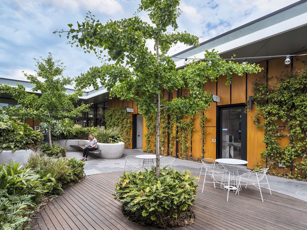 Parks Library — JPE Design Studio