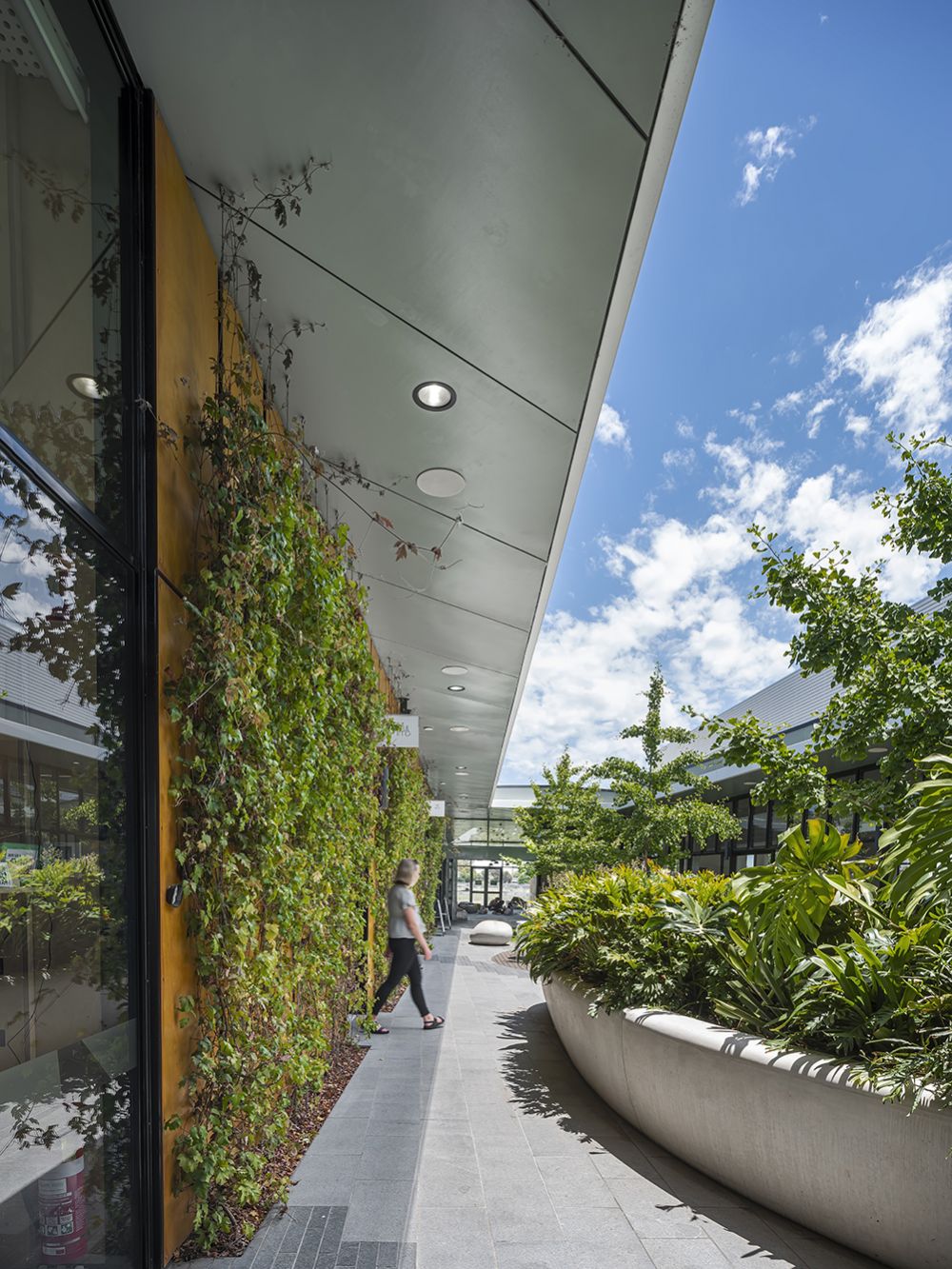 Parks Library — JPE Design Studio